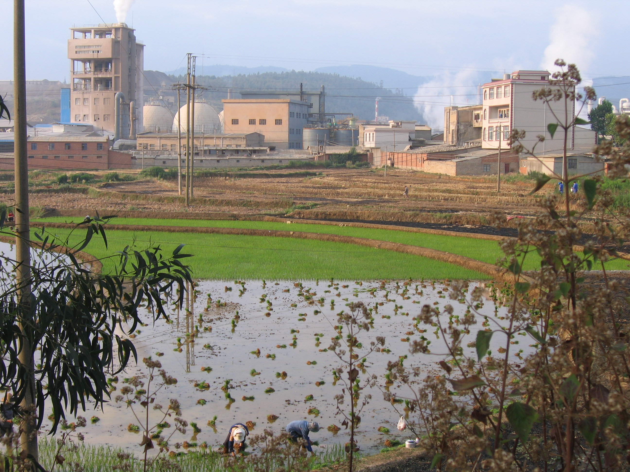 Living with pollution and citizen science in rural China | Contemporary ...